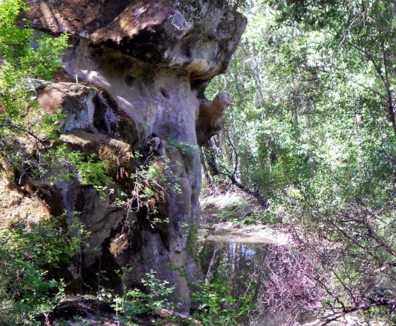 Chitactac-Adams Heritage County Park in Gilroy, CA